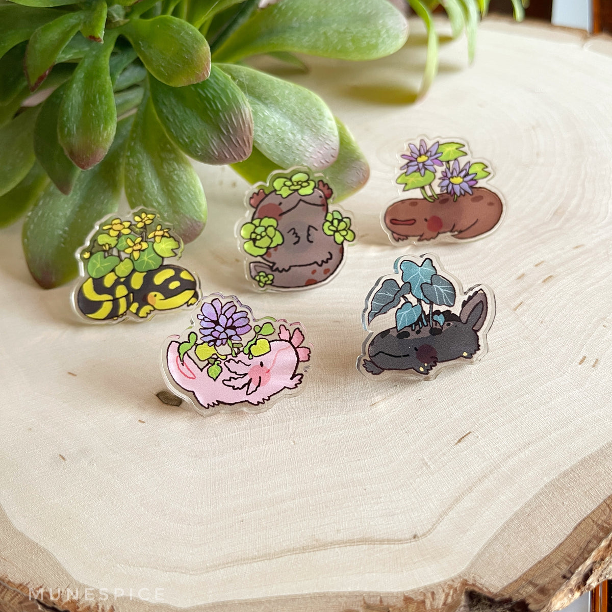 Amphibians x Aquatic Plants | Acrylic Pins – Munespice