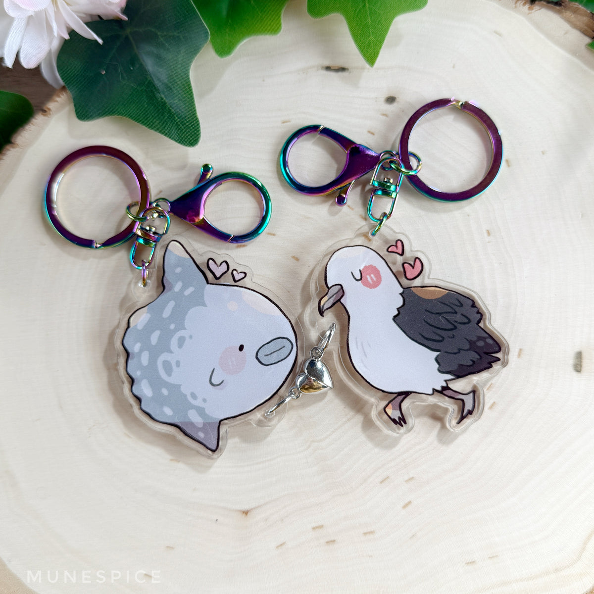 Ocean Sunfish & Laysan Albatross | Magnetic Acrylic Charm Set – Munespice